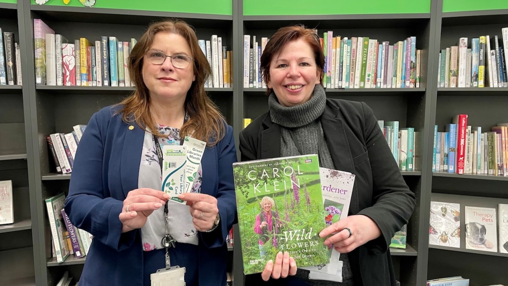 Libraries go green for May | Baba Baboon!